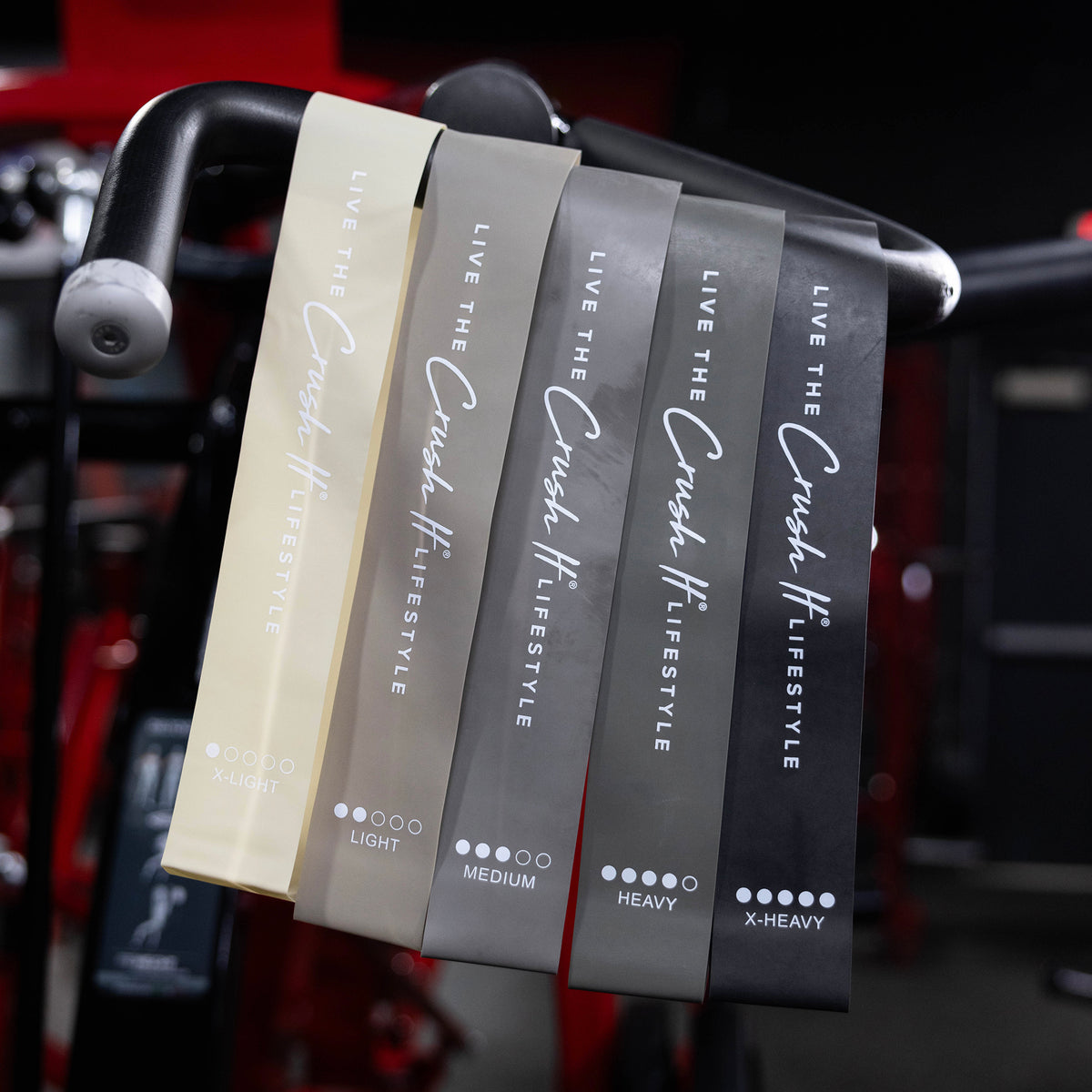 Crush It Exercise Bands (5pk)– Core Nutritionals